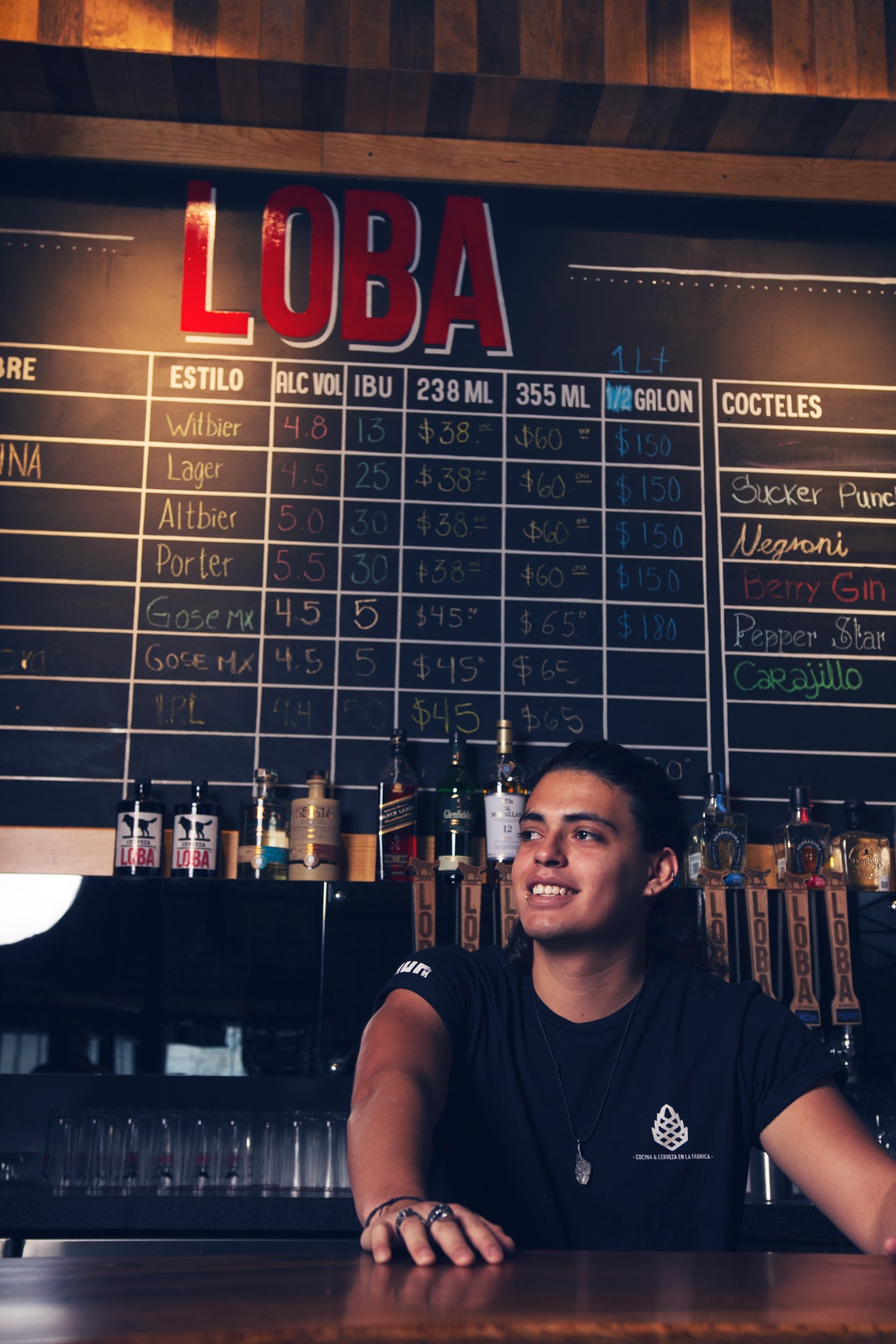 Home [www.cervezaloba.com]